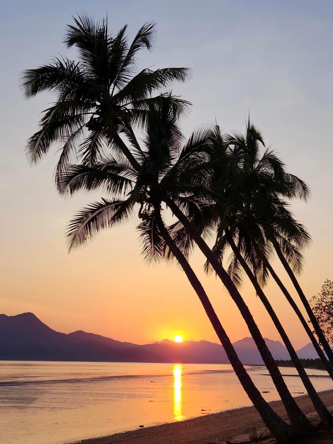 Cardwell Beachfront Motel | North Queensland